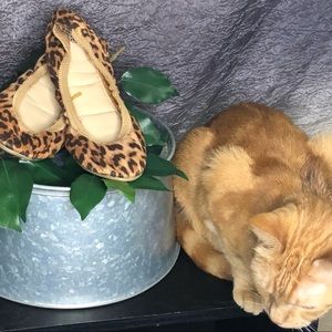 Shoes | Cheetah Ballet Flats | Poshmark